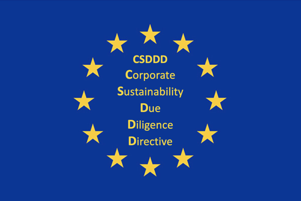 La CSDDD: di cosa si tratta - NonSoloPensioni